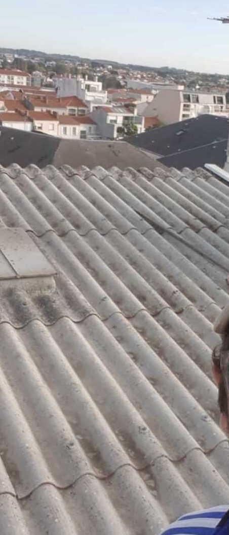 COLOROOF_ | Peinture de rénovation de toiture | Maelström Group